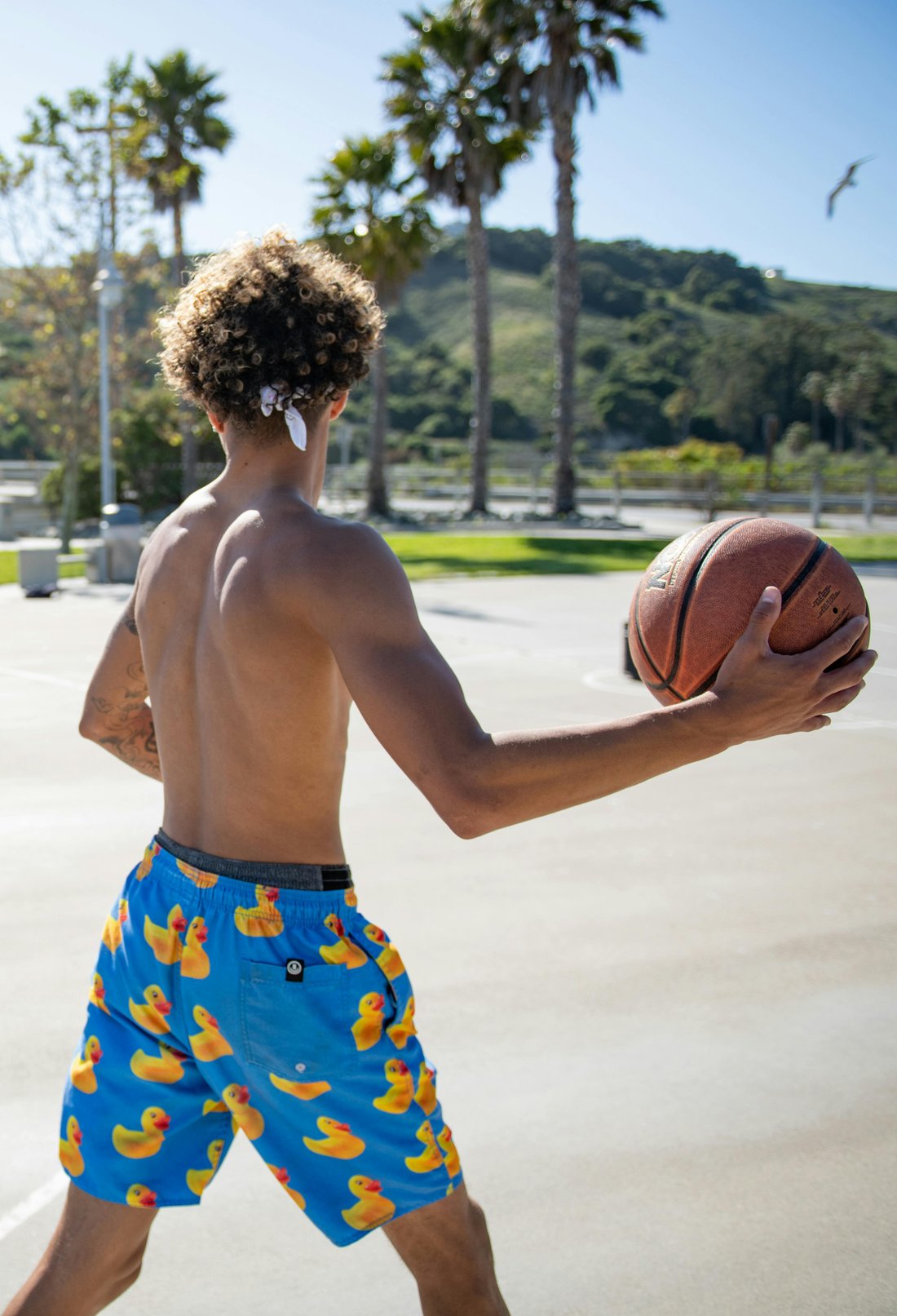 Elite Basketball Socks | Cushioned, Moisture-Wicking, Anti-Slip Grip ...